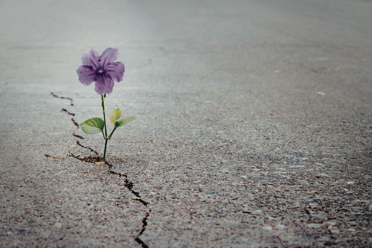 Resiliencia emocional: qué es y cómo aplicarla