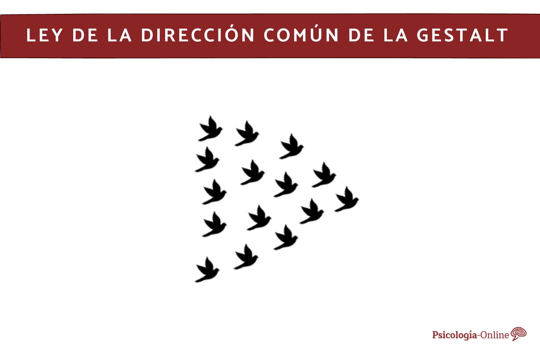 Qué es la ley de la dirección común de la Gestalt y ejemplos