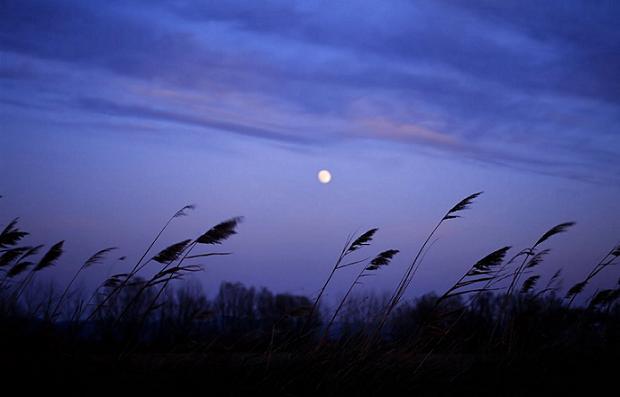 ¿Qué es un presentimiento?