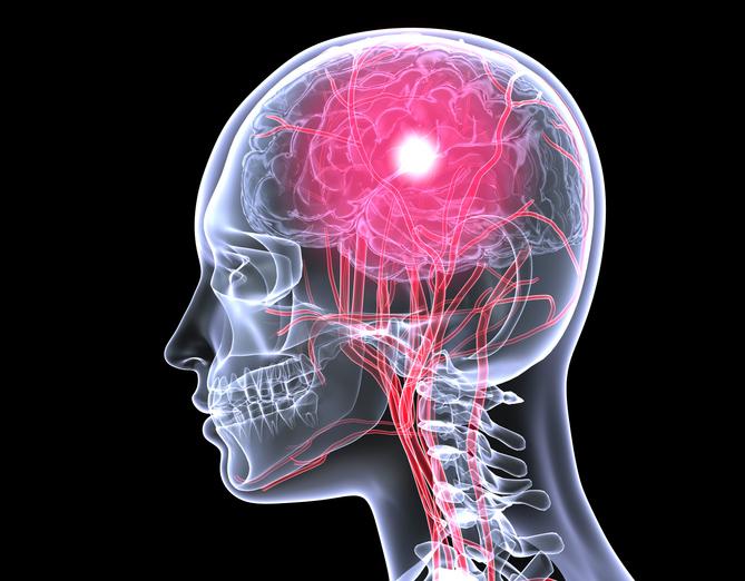 PSICOLOGÍA FISIOLÓGICA: qué es, historia y fundamentos