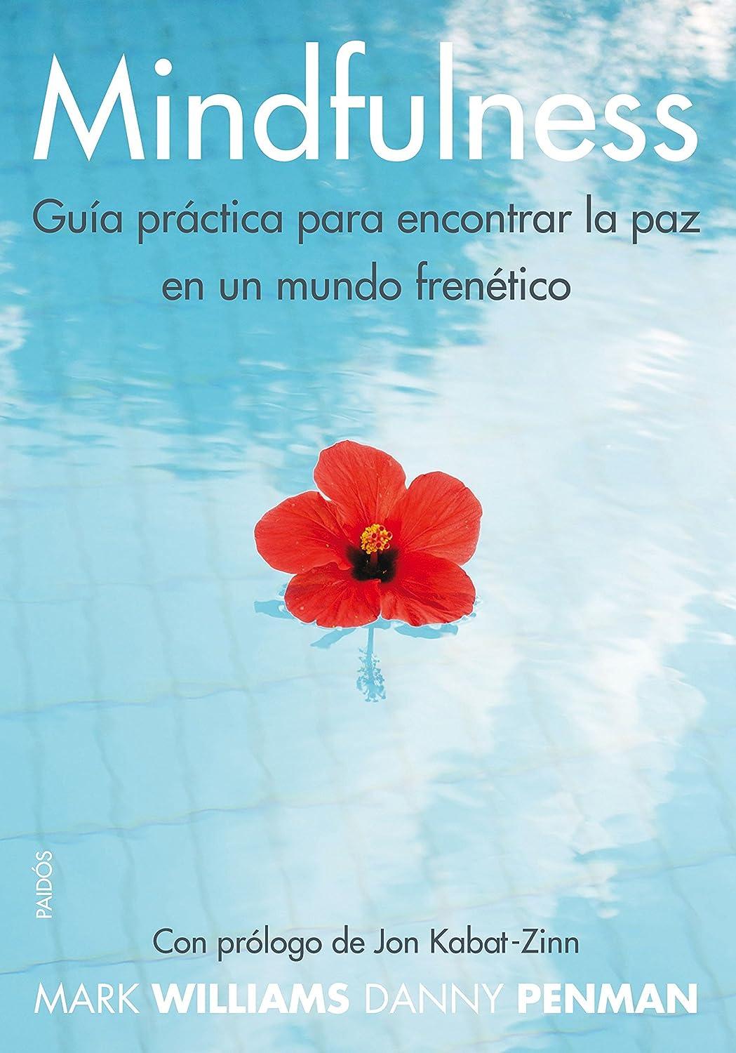 Los 13 mejores libros de mindfulness - recomendados para principiantes