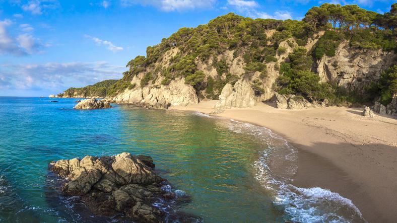 Hidrofobia: significado, síntomas, causas y tratamiento