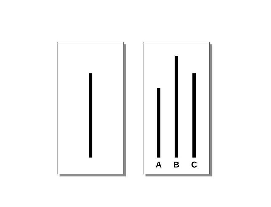El EXPERIMENTO de ASCH - Qué es, objetivos y conclusiones