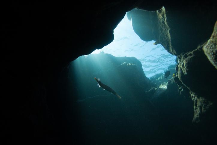 BATOFOBIA (medo de profundidade): sintomas, causas e tratamento