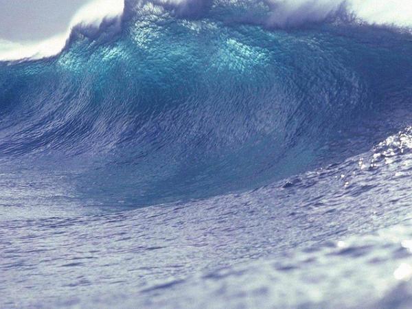 Fobia de mar (talassofobia): por que acontece, sintomas e como superar?